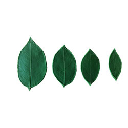 FormaLeaf LP153 - Large Rose Leaf Pattern Set of 4 | Clay King