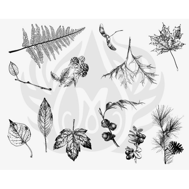 Mayco Designer Silkscreen DSS-111 Botanical Leaves - 15″ x 12″ | Clay King