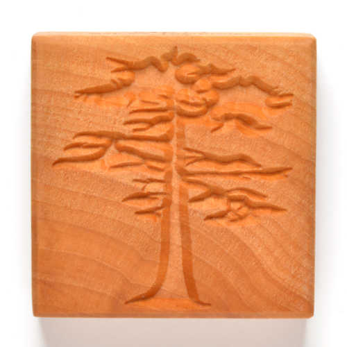 MKM SSL-052 Large Square Stamp - Sequoia Tree | Clay King