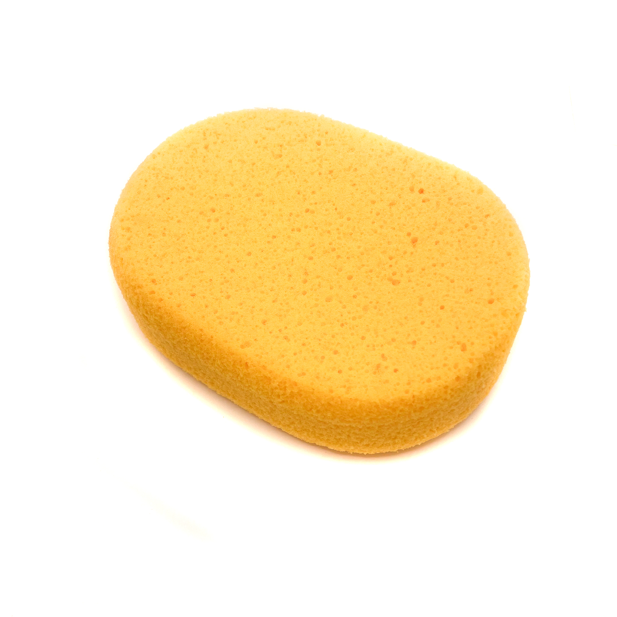 Basic Oval Potter’s Sponge | Clay King